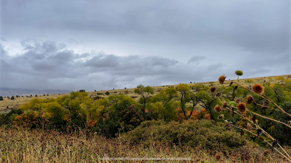The Ultimate Guide to Fall Foliage and Colors in Eastern Idaho ...
